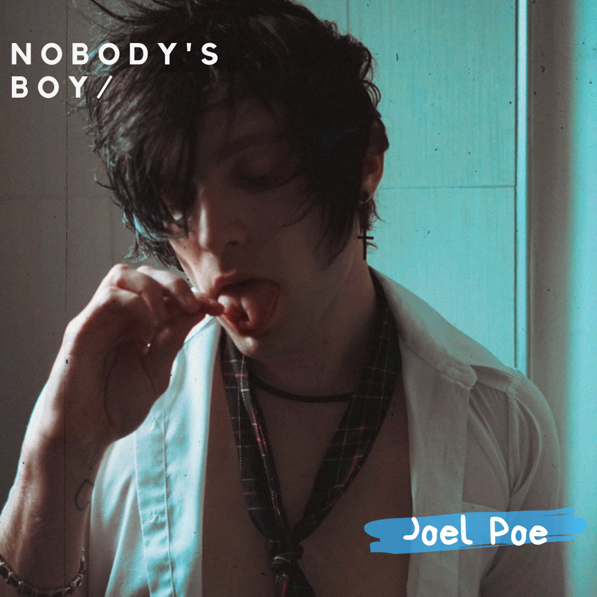 Nobody's Boy - Joel Poe